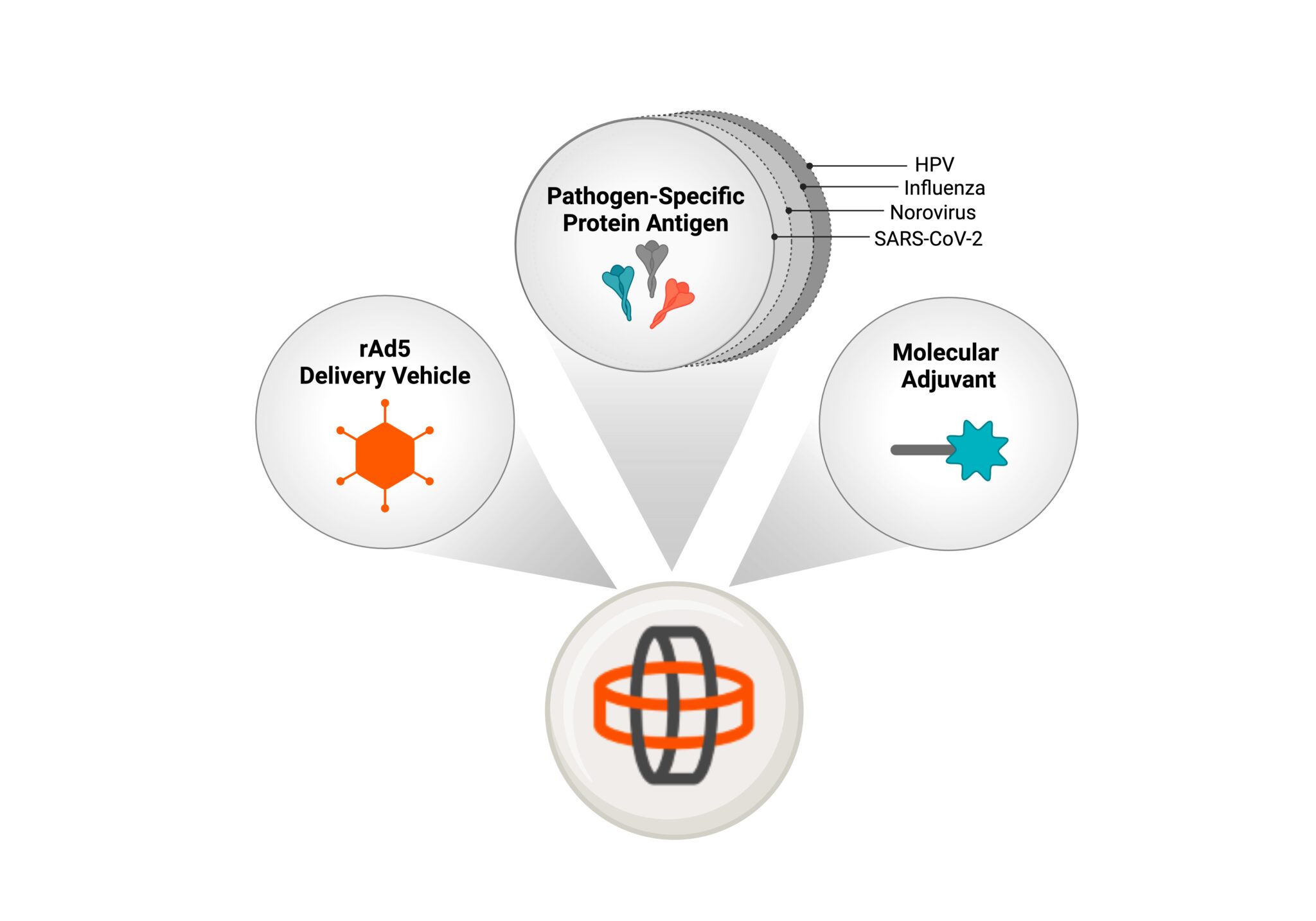 Our Science - Vaxart Inc.